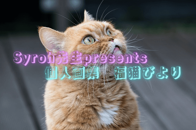 Syroh先生の画集にいる猫耳娘はいつだって未来を切り開く | Omochiのぶちまけまくり